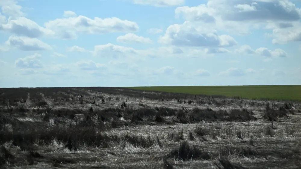 US agriculture industry at risk as drought conditions worsen | WBAL ...
