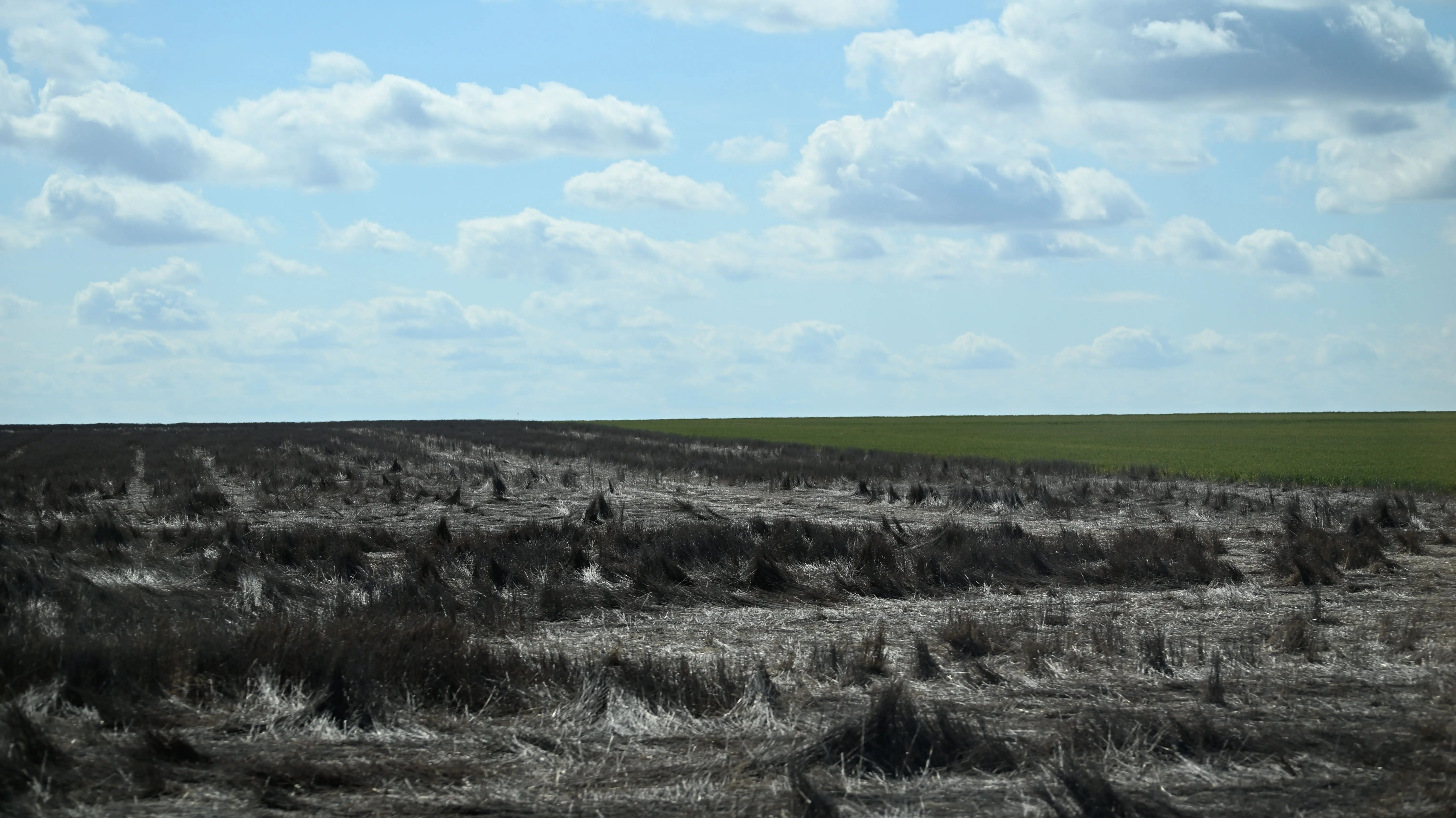 US agriculture industry at risk as drought conditions worsen | WBAL ...