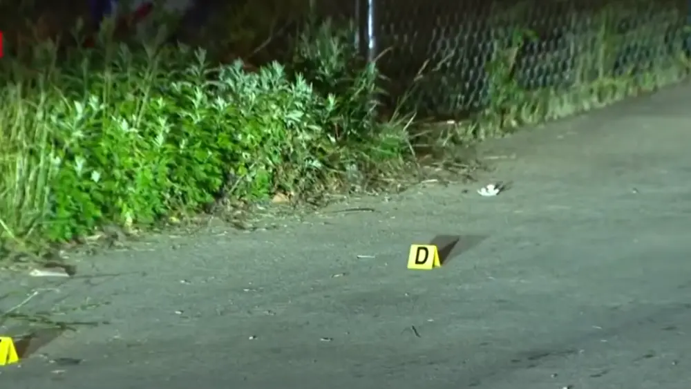 13-year-old boys, 17-year-old person of interest hurt in North ...