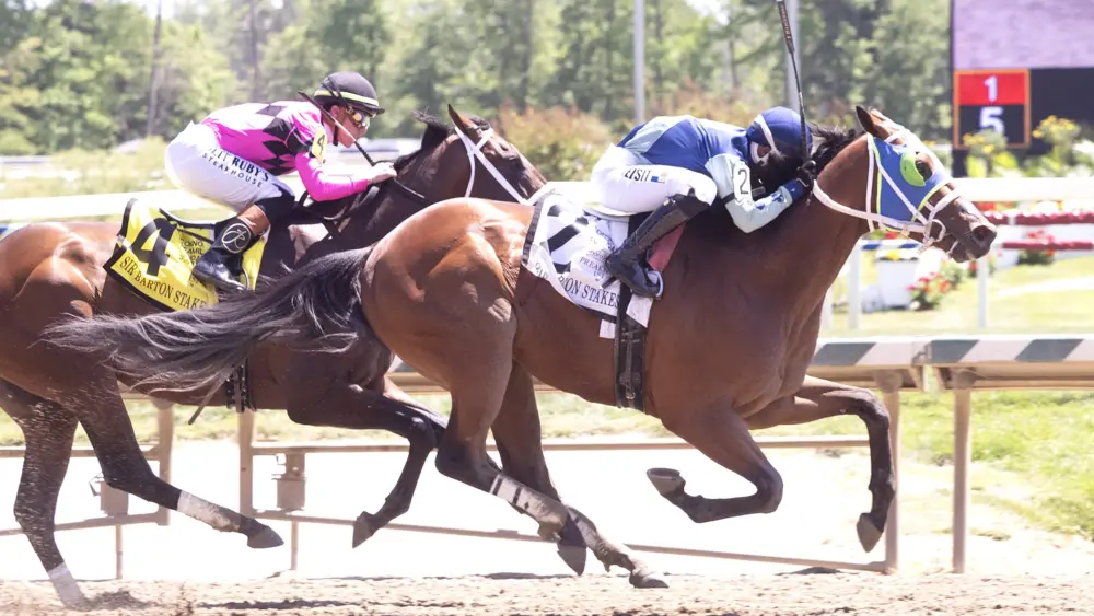 Big Cuddle returns to track on big stage after big Preakness Day win ...