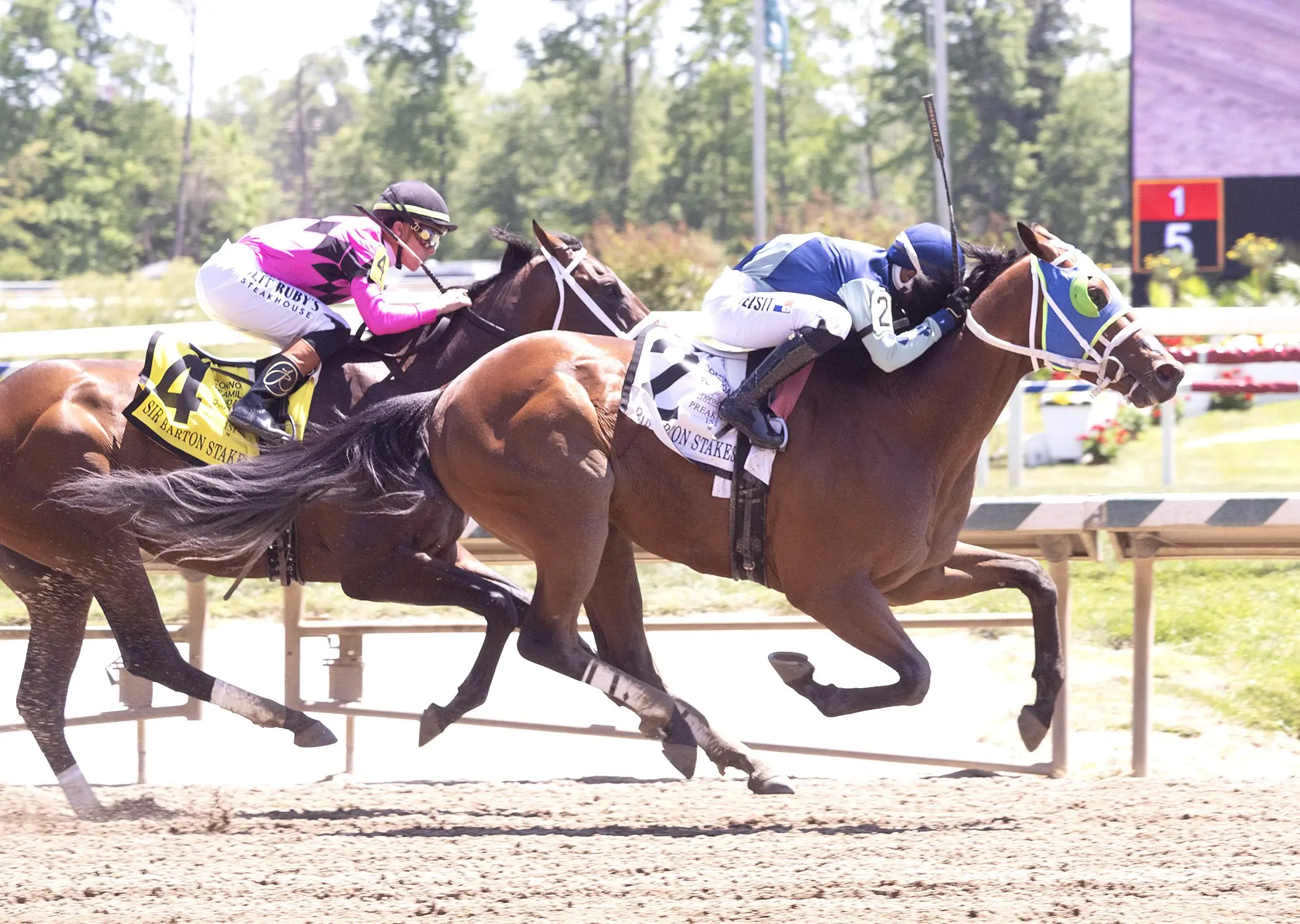 Big Cuddle returns to track on big stage after big Preakness Day win ...