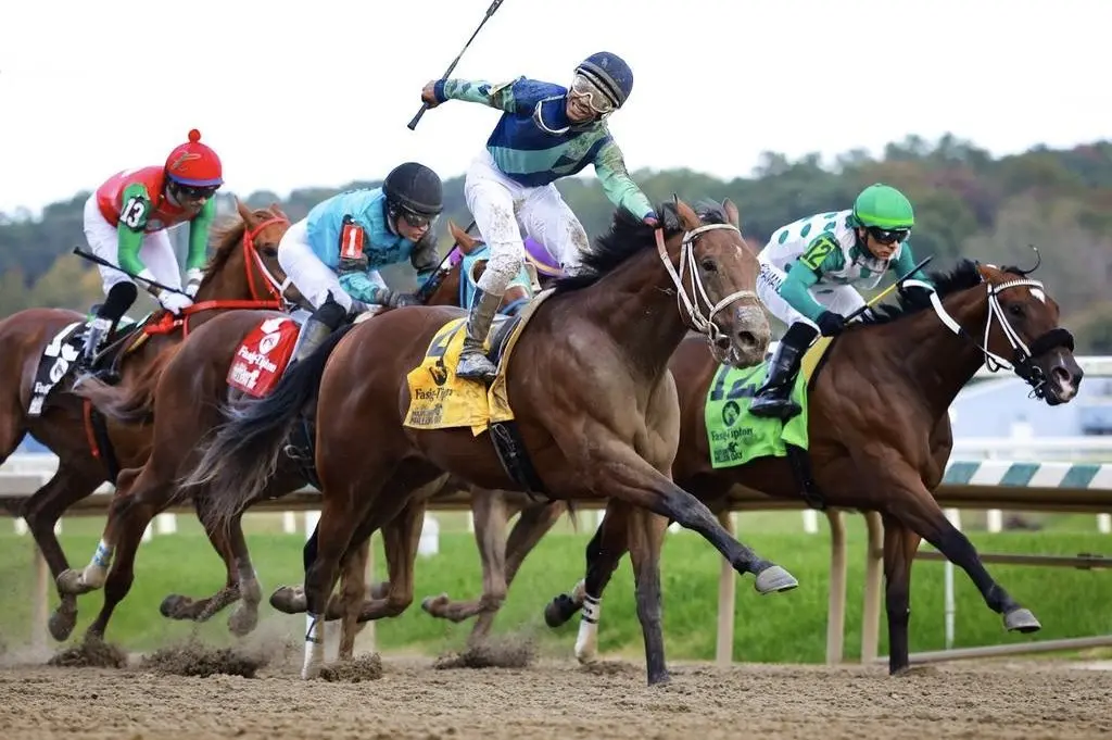 Big Cuddle returns to track on big stage after big Preakness Day win ...