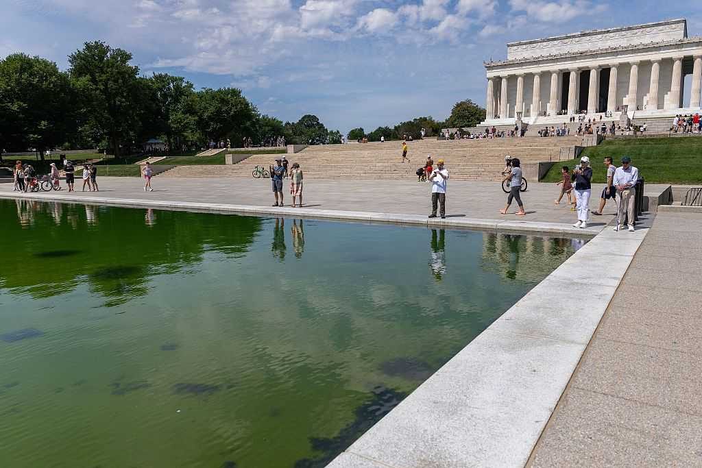 Algae turns newly renovated D.C. reflecting pool green again | WBAL ...