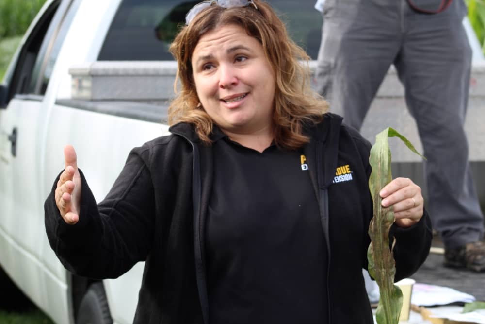 Southern Rust Moving North, Tar Spot Showing Up More | Hoosier Ag Today