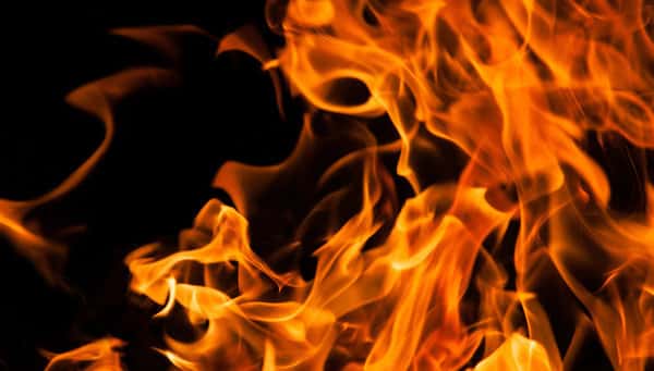 Tragic Royalton Fire Claims Trained Birds | Moody on the Market