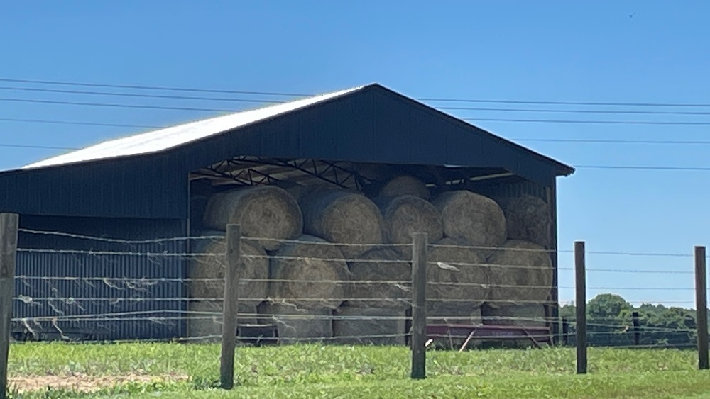 Caldwell Ag Agent Highlights Hay's Versatility And Preservation ...