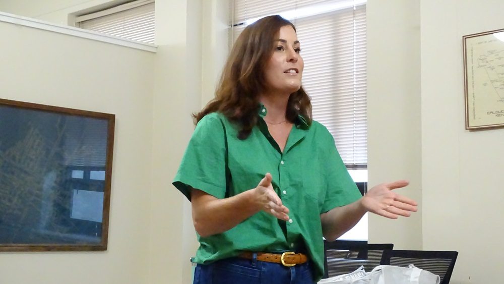 Kentucky Democratic Party Hosts Town Hall in Princeton to Strengthen ...
