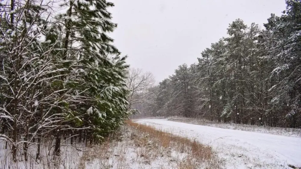 Weekend Snow Event Should Be the Largest in 11 Years | WPKY