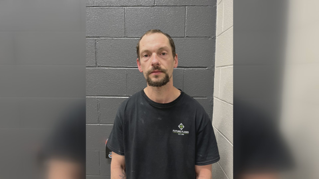 Multiple charges for 38 yr-old Fletcher man after shots fired at a ...