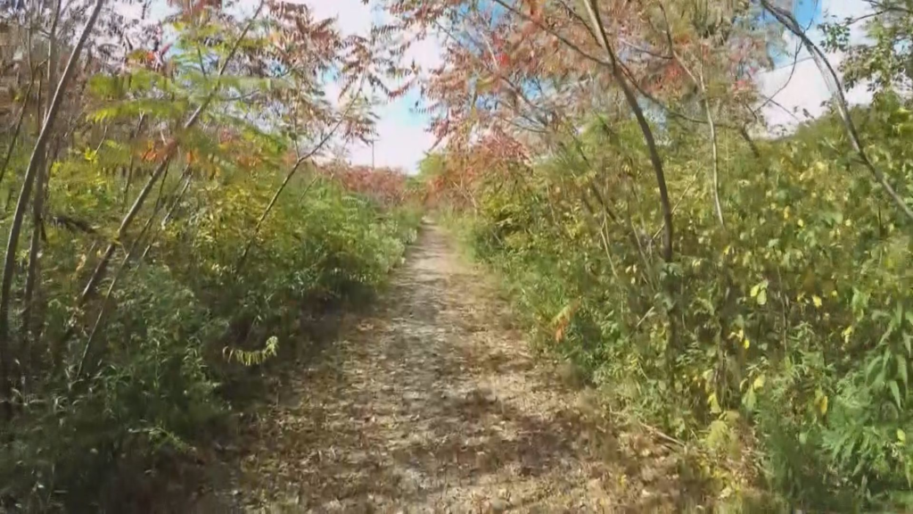 Millions Flowing To Vermonts Outdoor Recreation Scene 95 Triple X Wxxx