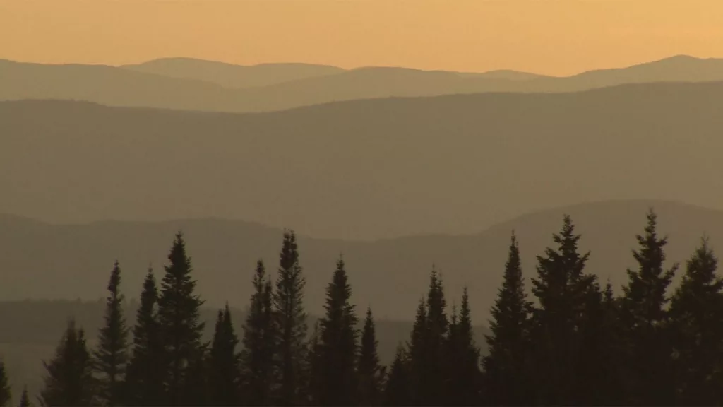 Wildlife Watch Mapping Vermonts Forests 95 Triple X Wxxx