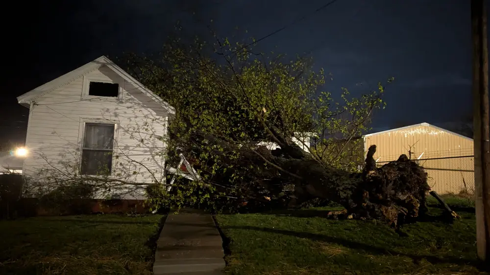 Sunday Night Storms Leave Tree Damage And Power Outages | WHVO