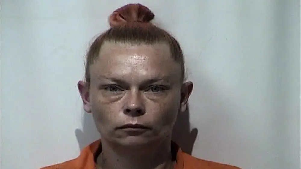 Woman Charged In Stolen Vehicle Investigation | WHVO