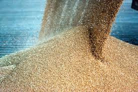 Farmers urged to review crop insurance, marketing plans | RadioOnTheGo.com