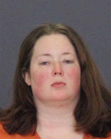 Amanda Maison pleads guilty to second degree homicide in the death of 3 ...