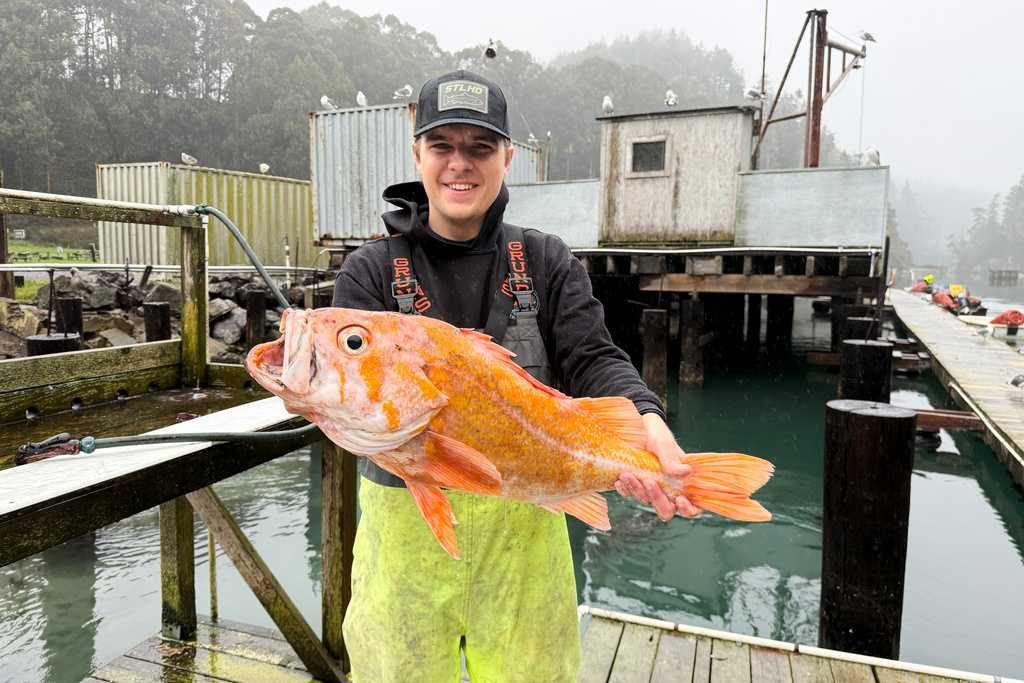 A fisherman may have broken state and world records by catching a 10.25 ...
