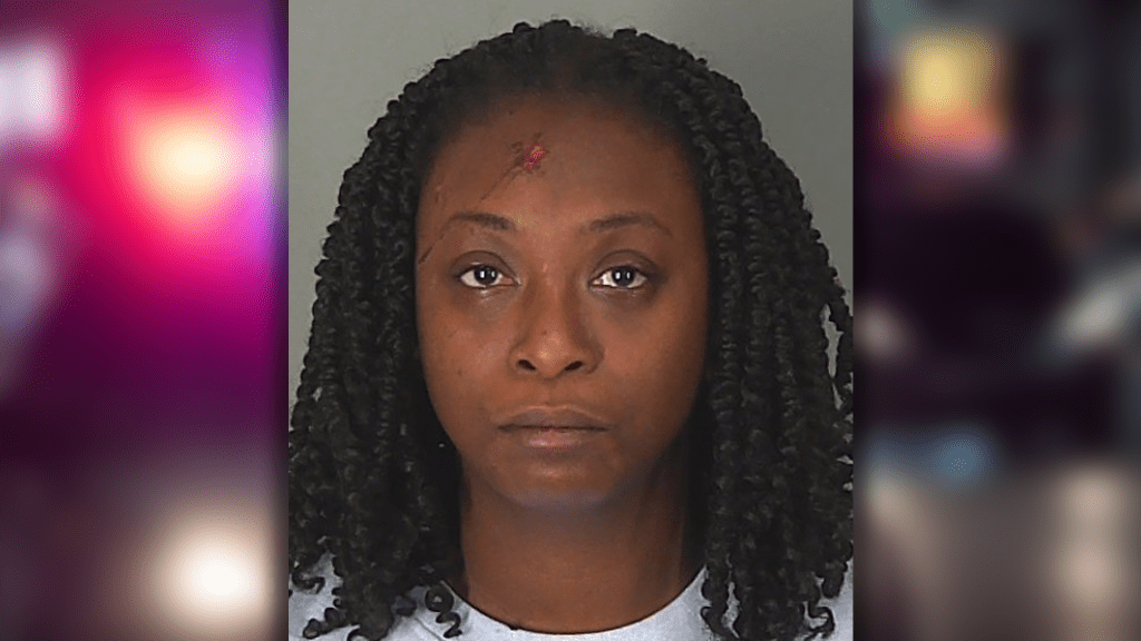 Mother faces felony charges after 8-year-old daughter killed in South ...