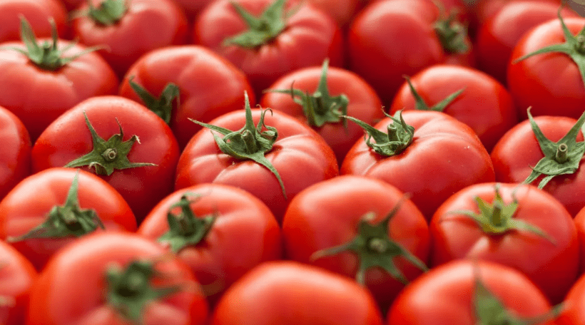 First-ever Tomato Festival brings family fun, farming, and friendly ...