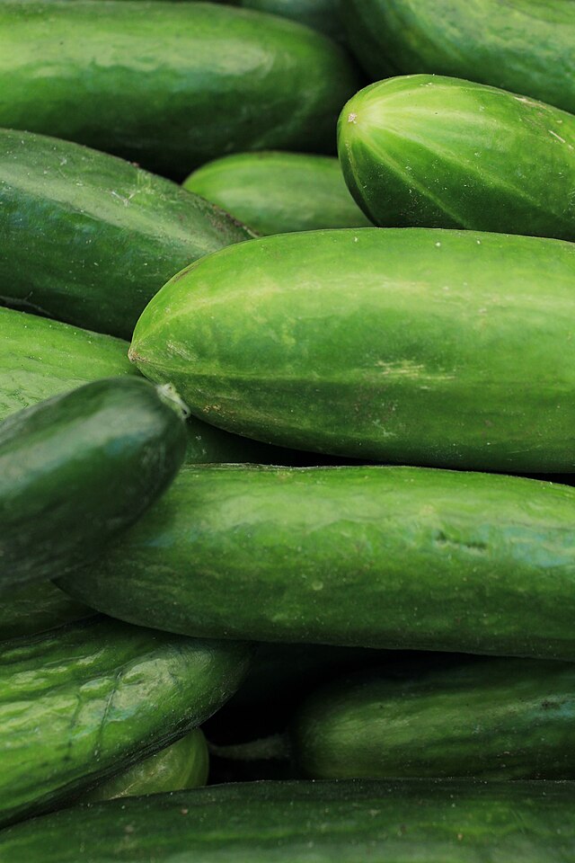 FDA warns Wisconsin consumers of salmonella-tainted cucumbers | WCLO