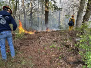 Mitchell / Avery Fire (update) | WKYK
