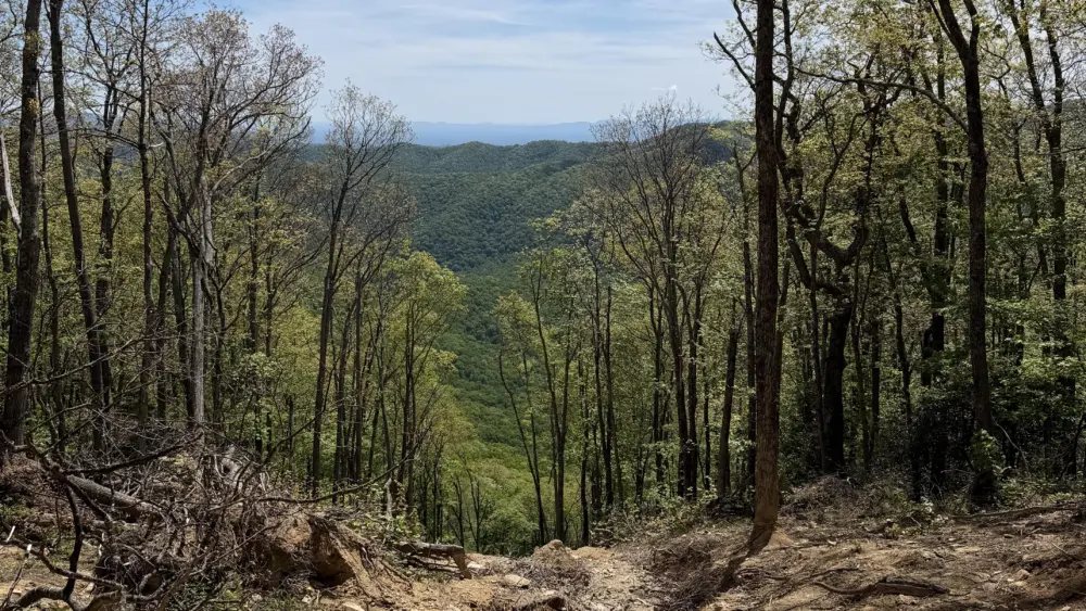 High Peaks Lead Higgins Bald Hike | WKYK