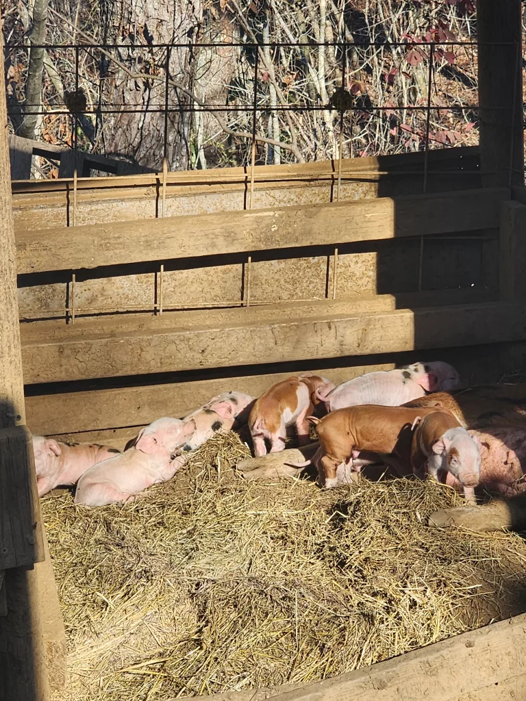 Page 15824951 – WKYK