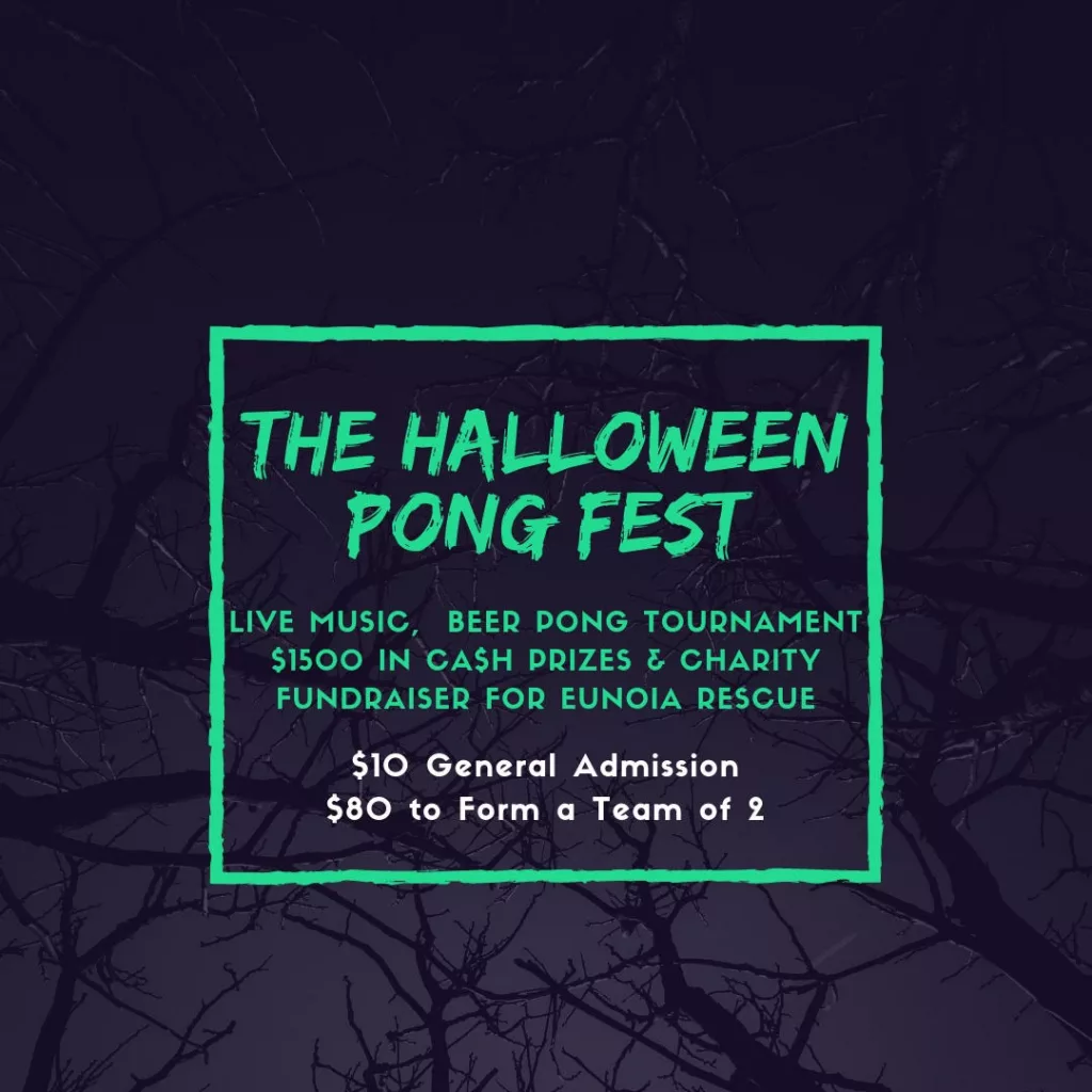 HALLOWEEN PONG FEST! – My 98 Rock