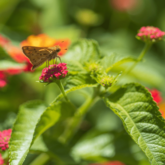 USDA Report Finds Pesticide Residues Remain Well Below Safety Limits ...