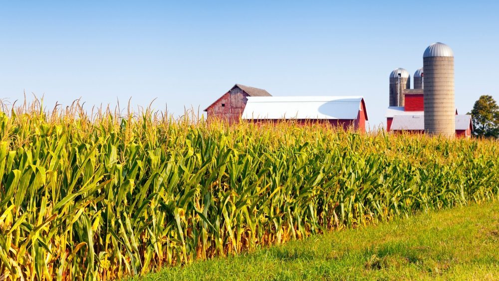 Tenth Annual Feeding the Economy Report Shows Food and Agriculture ...