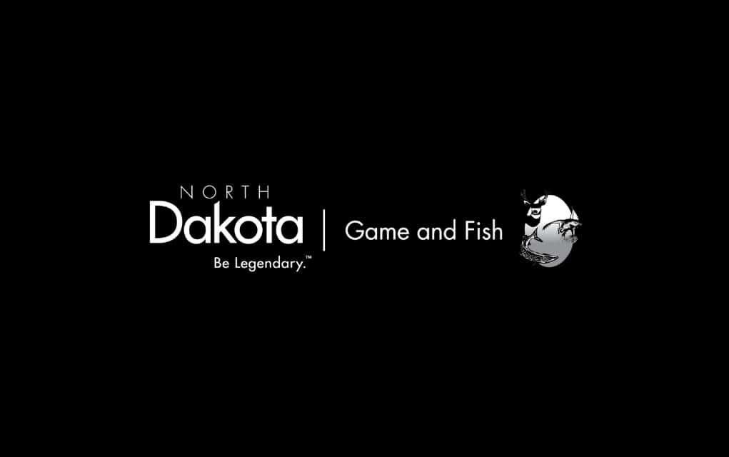 Game And Fish To Monitor Bird Flu During Fall Migration | Dakota News ...