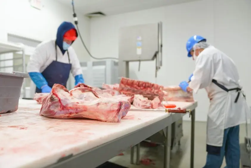 Secretary Rollins Announces Program to Support Small- and Mid-Size Beef ...