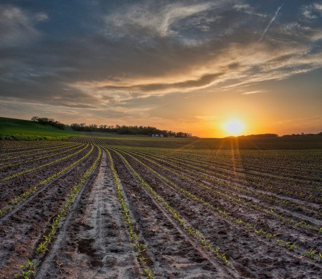 Illinois Farmland Prices Up Three Percent in 2024 | American Ag Network