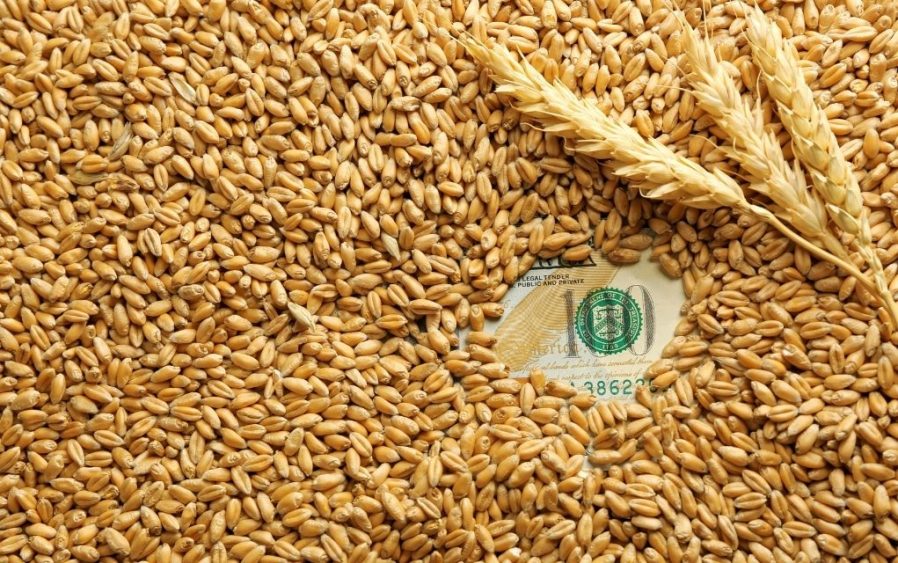 Ag Import Values Outpaced Export Values in 2023 | American Ag Network Ag Import Values Outpaced Export Values in 2023 | American Ag Network