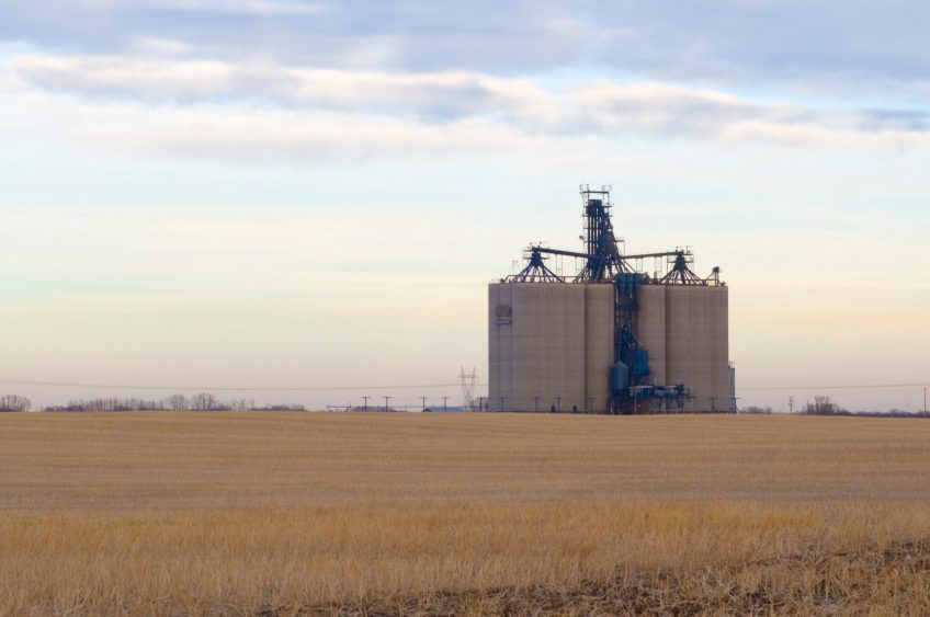 Farmers Encouraged to File Claim for Hansen-Mueller Bankruptcy ...