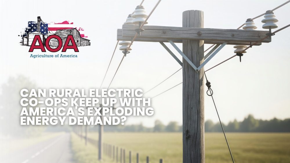 Can Rural Electric Co-ops Keep Up With America's Exploding Energy ...