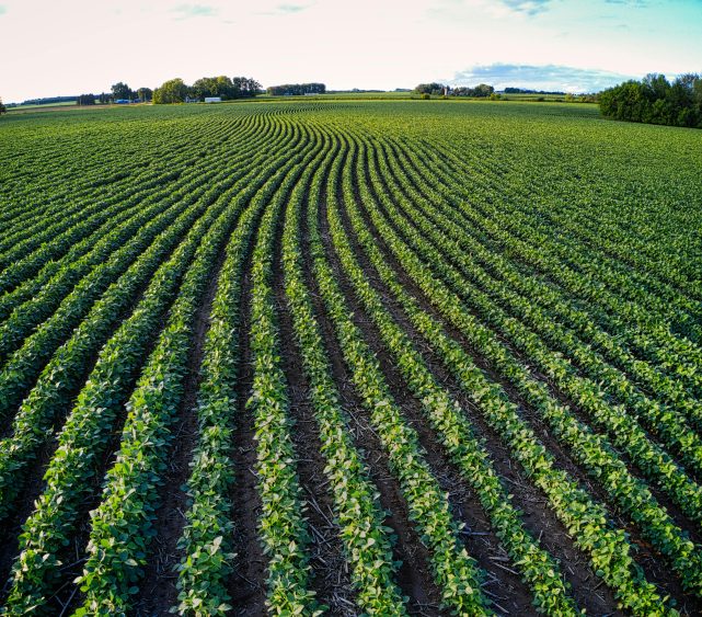 Crop Development Gains Ground After Warm, Dry Stretch | American Ag Network