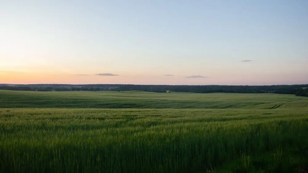 Know What You Have: Managing Forage and Fighting Invasive Species in a ...