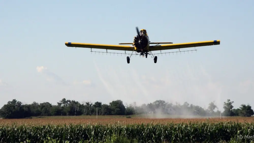 Timing is Everything: Maximizing ROI with Precise Fungicide Timing ...
