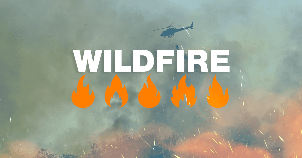 Texas Fire Update | Dailyfly News