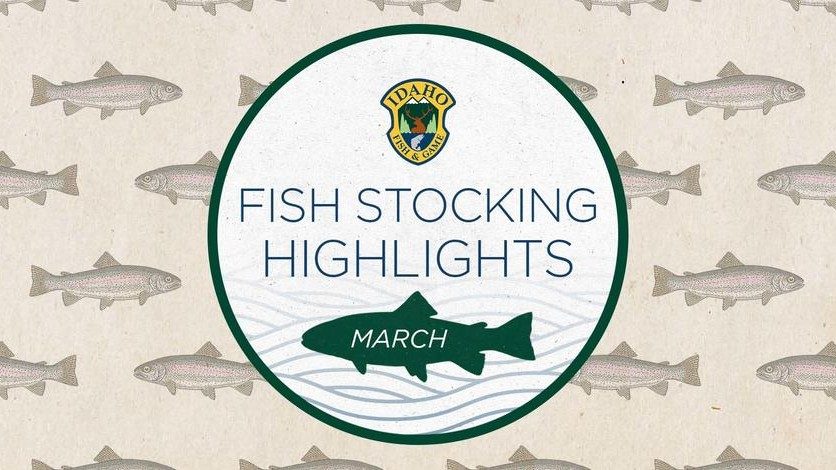 Idaho to Stock 60,000 Rainbow Trout in March, Including Mann Lake and ...