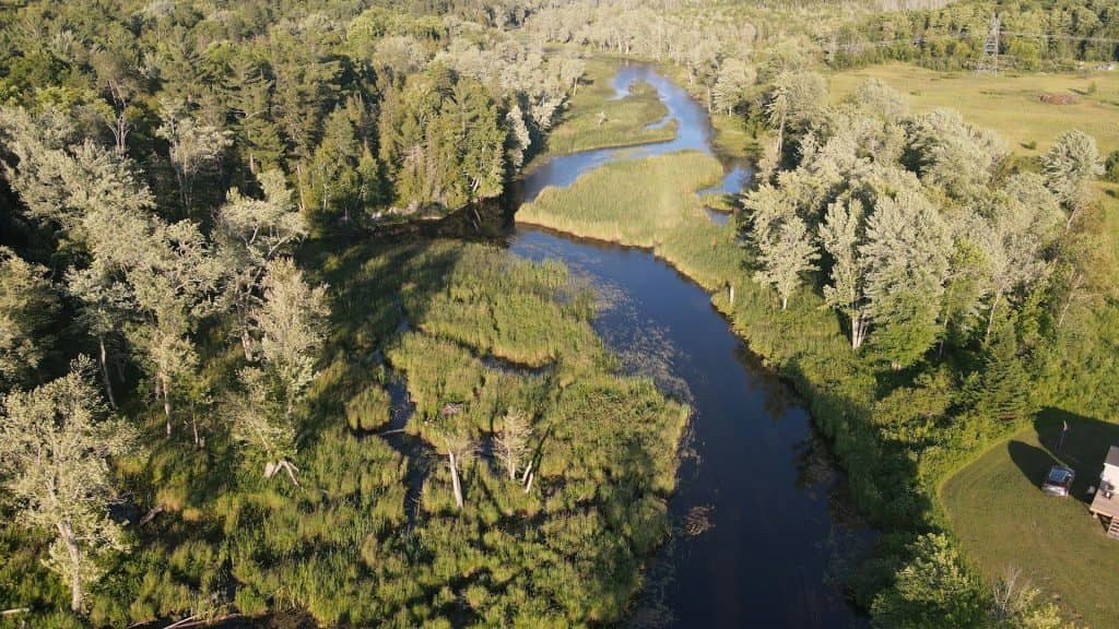 Bipartisan Bill Introduced to Expand Forest and Watershed Protections ...