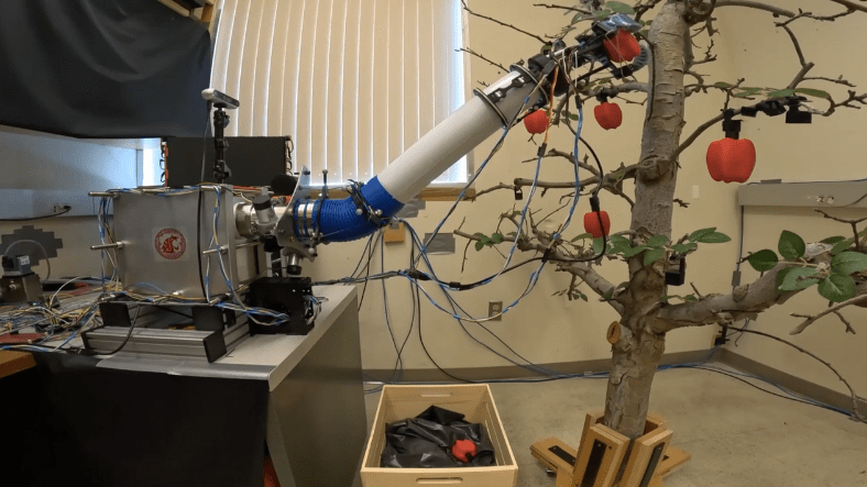 WSU researchers develop inflatable robotic arm for apple harvesting ...