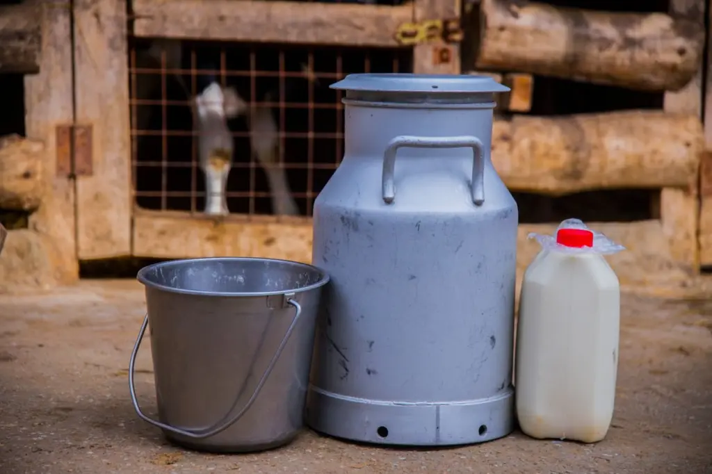 Nearly 60 Idahoans sick after drinking raw milk in past two weeks ...