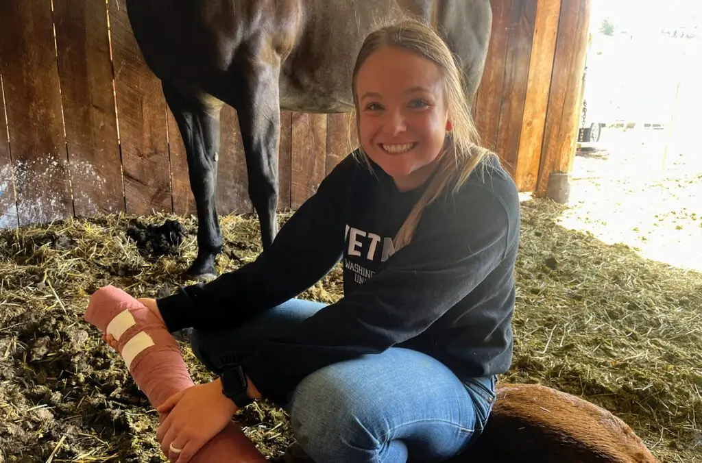 WSU Program Gives Veterinary Students Hands-On Experience in Livestock ...
