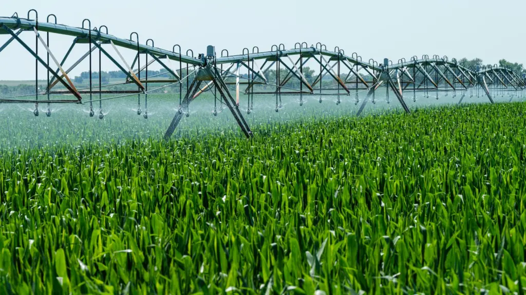 Idaho Surface Water Coalition says severely needed water supply 'simply ...