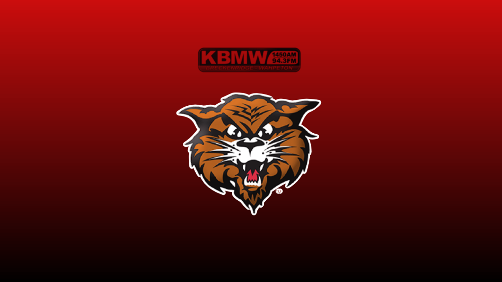 Hajek, Pinsonneault sign to play baseball at NDSCS | KBMW News