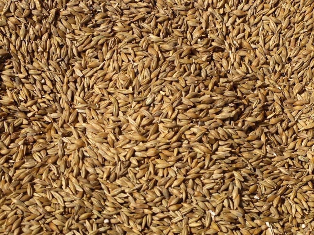 Ukraine Grain Output and Exports Expected to Fall | KBMW News