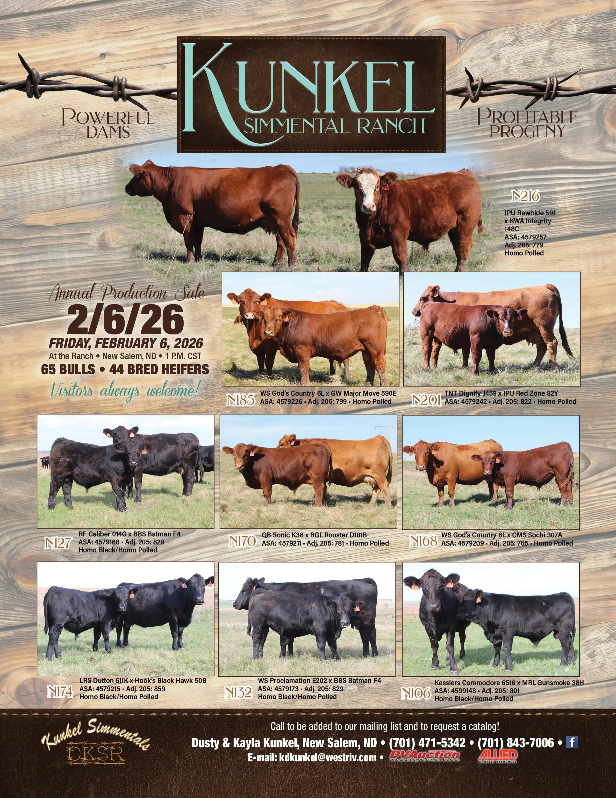 Kunkel Simmental Ranch – Annual Production Sale – KBMW News