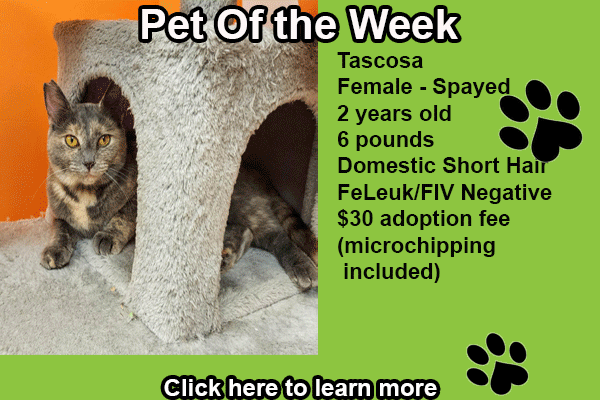 Humane-Society-ad-Tascosa | Marshall County Daily.com