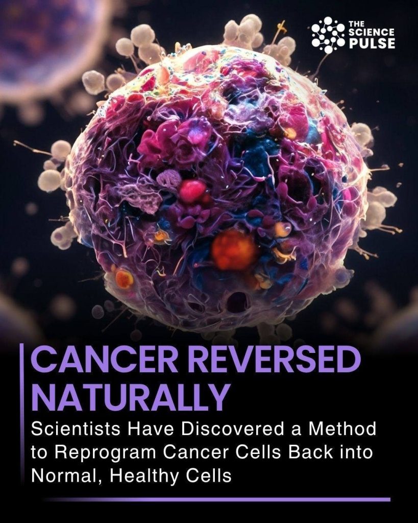 Scientists have discovered a method to turn cancer cells back into ...